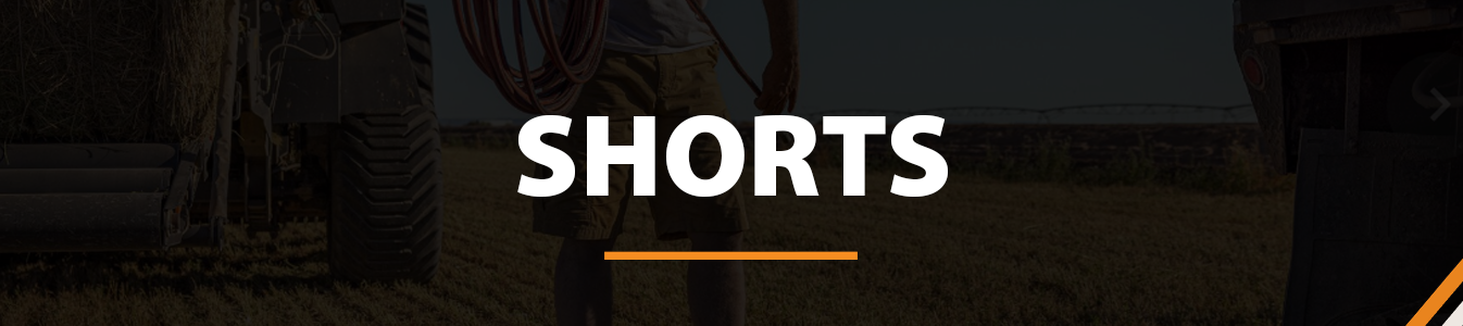 Shorts | Workwear Styles & Wholesale Options
